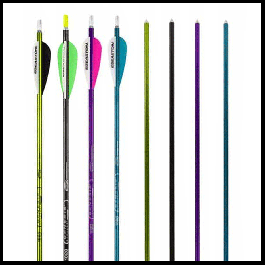 Easton Genesis Arrow | Creed Archery Supply