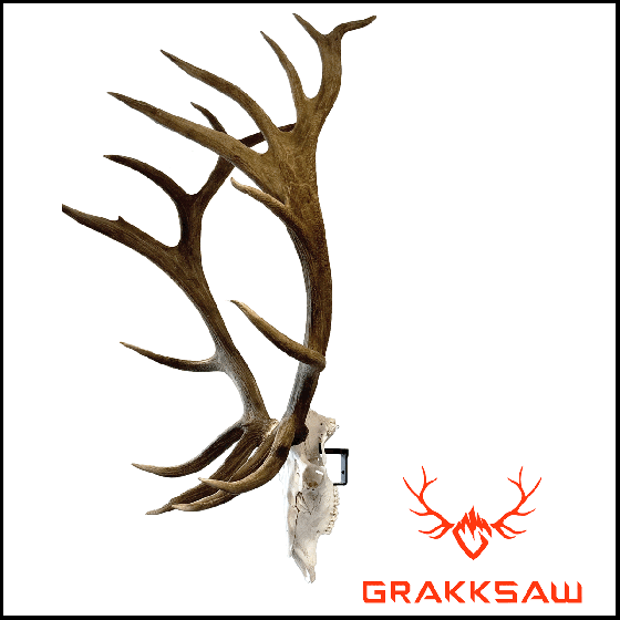 Grakksaw Rakk: Elk Skull Hanger | Creed Archery Supply